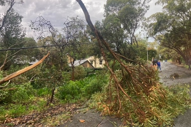 12 November Storm update from SA Power Networks
