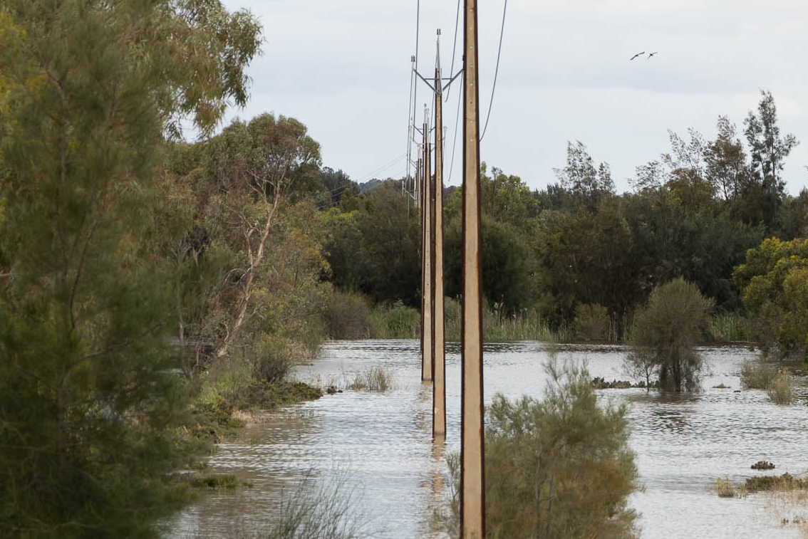 Exclusion zone will protect lives and help minimise electricity ...