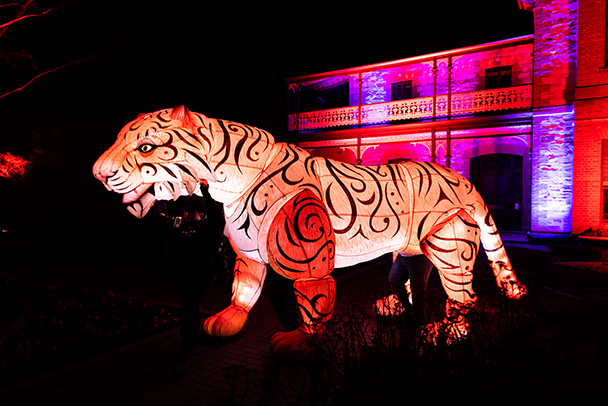 Light Creatures again wow visitors of all ages