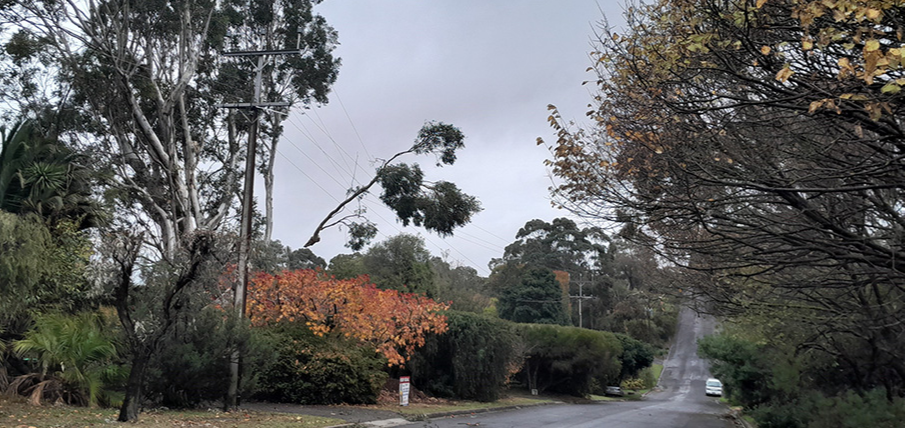 Extreme weather power restorations ongoing