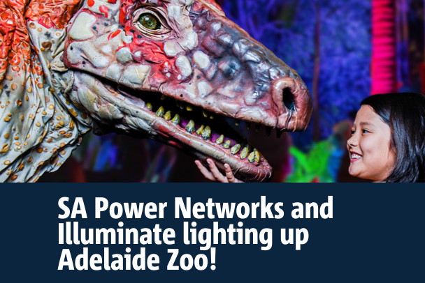 SA Power Networks